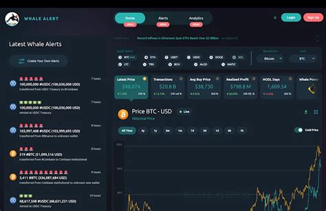 Whale Alerts Are They Tradable Presto Research