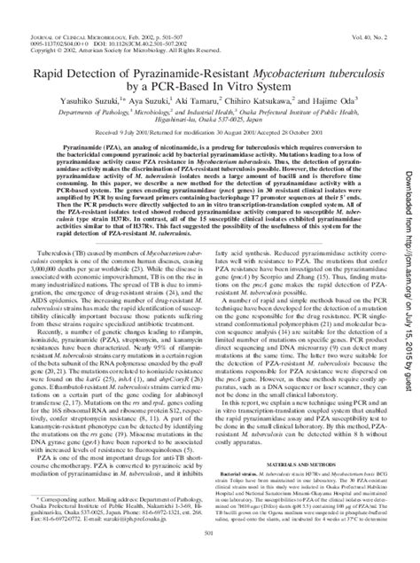 Pdf Rapid Detection Of Pyrazinamide Resistant Mycobacterium Tuberculosis By A Pcr Based In