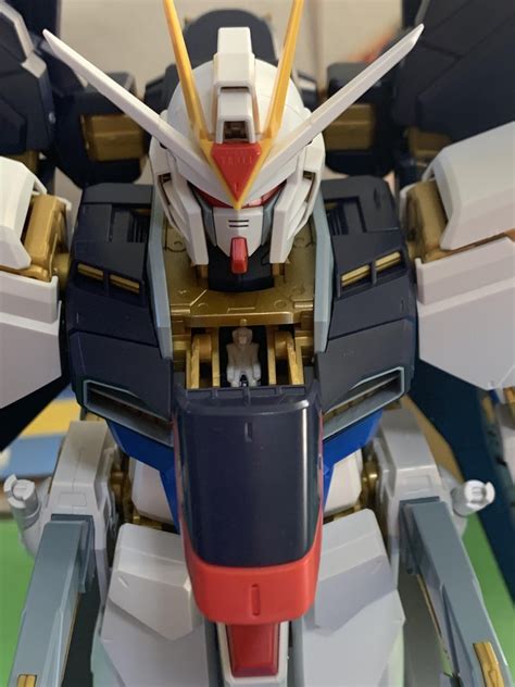 Completed Pg Strike Freedom Rgunpla