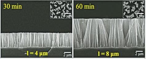 Figure 4 From Design Of Silicon Nanowire Array For Pedotpss Silicon