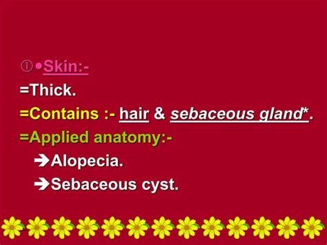 Anatomy Of SCALP And Its Blood And Nerve Supply Ppt