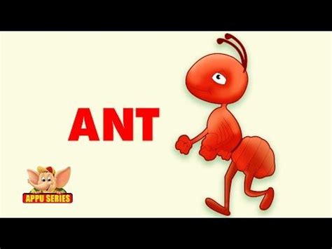 Pin On Grade 1 Ants