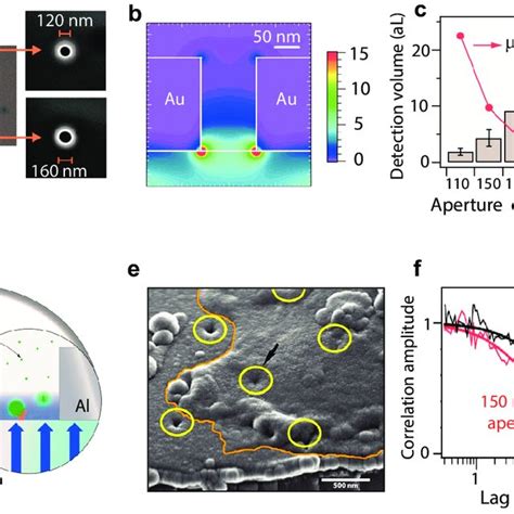 5 Zero Mode Waveguides For Enhanced Fluorescence Detection A Download Scientific Diagram