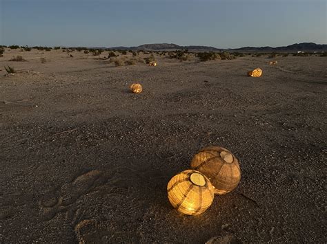 Lithospheres — Tim Feeney