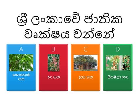 පරිසරය 3 ශේණිය Quiz