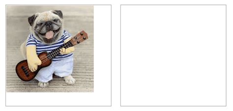 C Cropping Image Is Not Cropping Correctly Stack Overflow