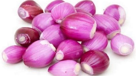 சனன சனன வஙகயம பர தன சறச பசச வஙகயம பலன பரச ஆணகளன
