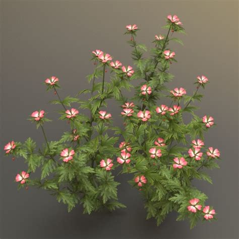 Phd Wip Shaders Page 10 Hivewire 3d Community