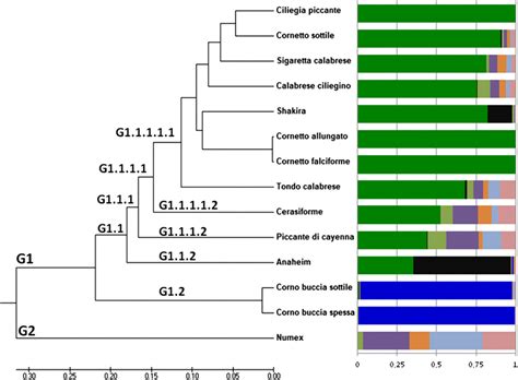 upgma dendrogram on the left based on 2120 snp markers data showing