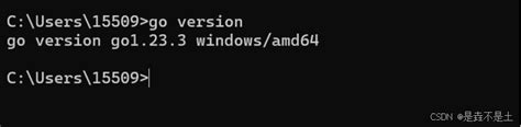 go语言开发环境搭建 go sdk csdn博客