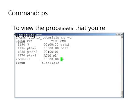 linux commands for beginners powerpointpresentation pptx