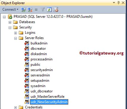 Create SQL Server Roles