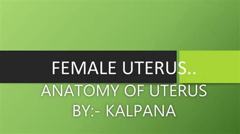 Ligaments Of Female Genital Tract Pptx Ligaments Of Female Genital Tract Pptx