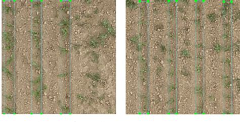 Figure 1 From Weed Detection In Maize Fields By Uav Images Based On Crop Row Preprocessing And
