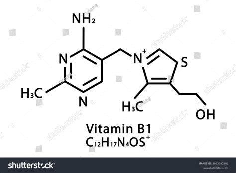 410 Imágenes De B1 Structure Imágenes Fotos Y Vectores De Stock
