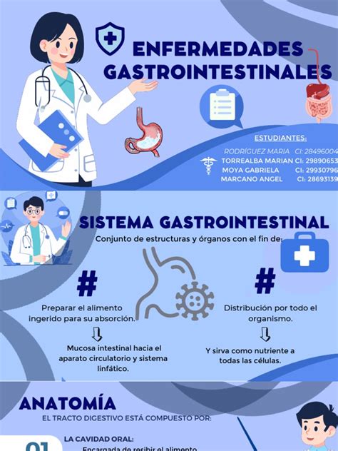Enfermedades Gastrointestinales Pdf Sistema Digestivo Humano