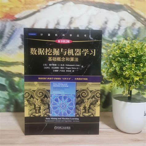 数据挖掘与机器学习 基础概念和算法（原书第2版） 虎窝淘