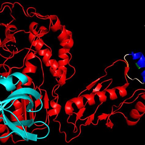 Figure S1 Structure Of Rnase H In Pr Rt Fusion Protein The Hiv Pol