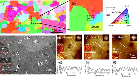EBSD IPF Coloring Orientation Map IPF Triangle SEM And AFM Images Of Download Scientific