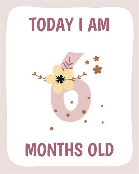 6 Months Birthday Party Invitation With Flowers 20687461 Vector Art At