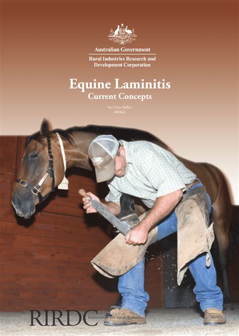 Pdf Equine Laminitis