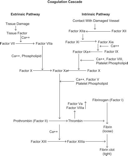 Hemostatic Agents Pocket Dentistry