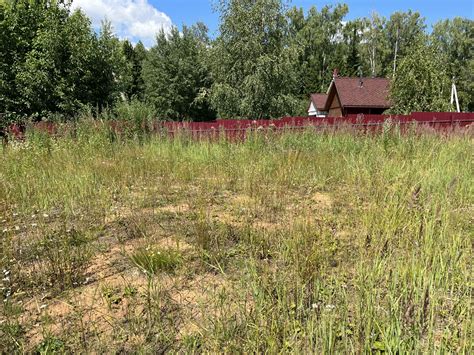 Земли сельхозназначения Московская область городской округ