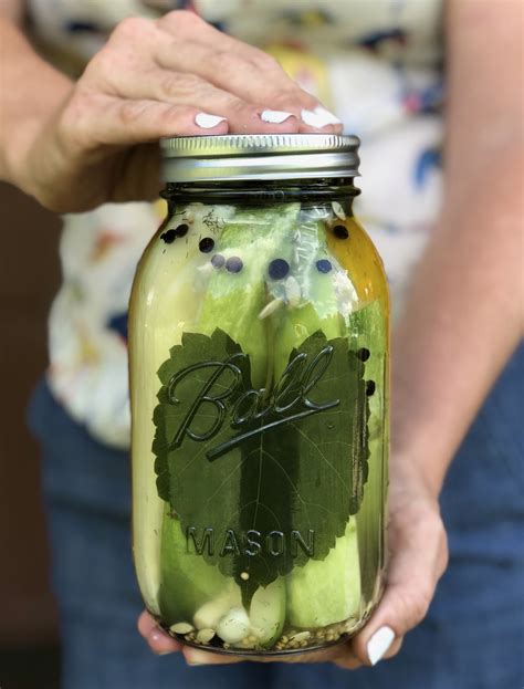 Fermented Pickles Happy Holistic Homestead