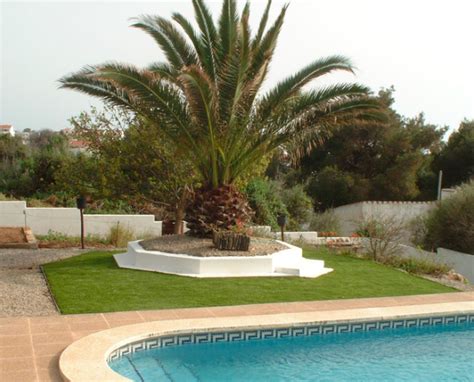 Export Experts Magazine Grass Looks Greener In Saudi Arabia For Nomow