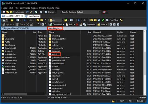 使用vi编辑器验证expressway文件 Cisco