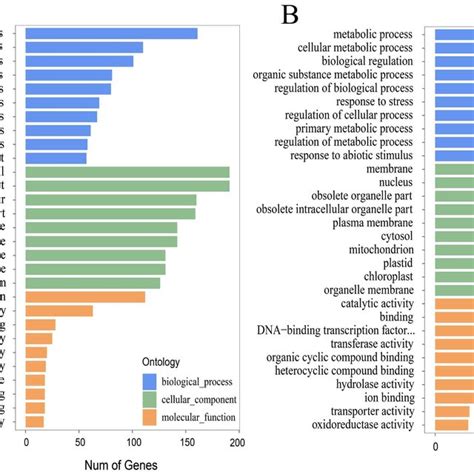 Go Classification Enrichment Pathways Of Degs A Flower Samples B