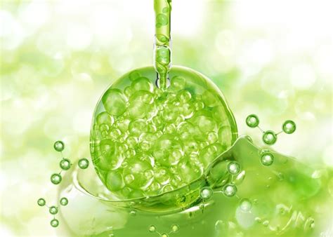 알로에 베라 젤 프리미엄 사진