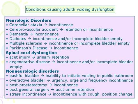 Dysfunctional Voiding Patterns Urinary Incontinence Urinary Retention Bph