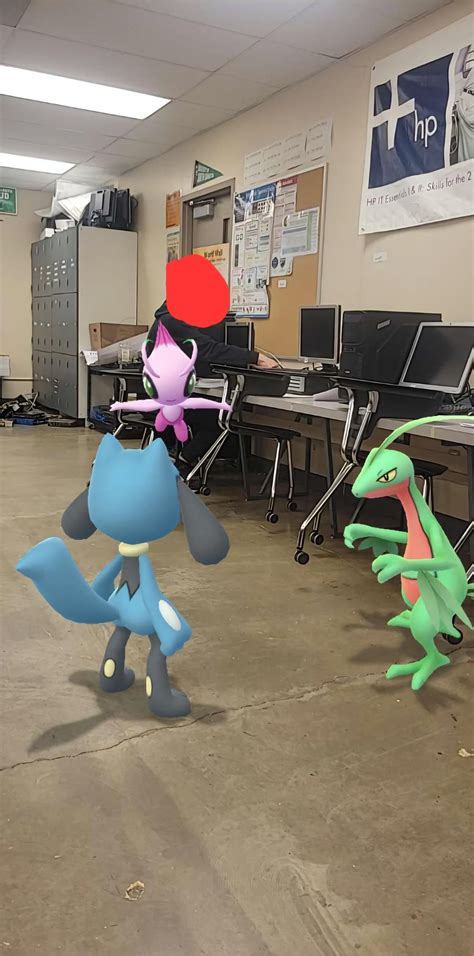 Celbi And Grovile Talking To There Once Human Friend Rmysterydungeon