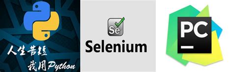 Python高级：3 文件读写part3 知乎