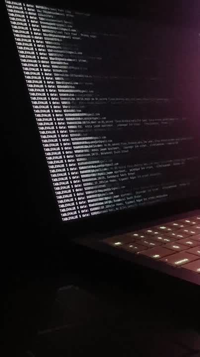 Video Jaisabarish C On Linkedin Indian Database Hacked Hacking