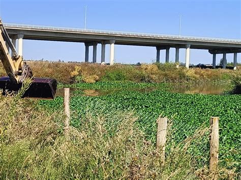 Focus Group Biocomp 30 Vila Franca De Xira Biocomp 30 ProduÇÃo De Compostos OrgÂnicos