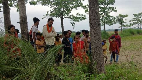 Bihar Newsसिमर के पेड़ से लटका मिला युवक का शव हत्या या आत्महत्या