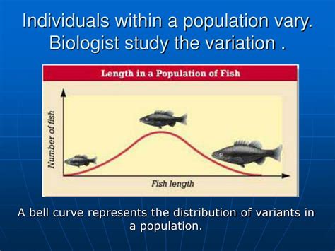 Ppt Evolution Of Populations Powerpoint Presentation Free Download Id158494