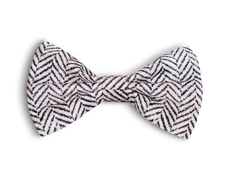 Gustaf Och Evita Fluga Modish Dyrekassen