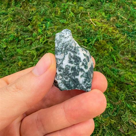 Tree Agate Raw Stones 1 2 Inch A Grade 12 20 Pieces Per Pound