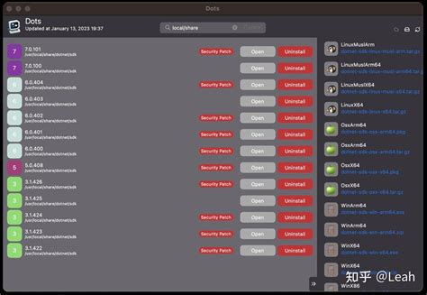 dots 更友好的 sdk 管理器 知乎