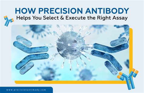 Elisa Flow Western Choosing The Right Assay For Your Antibody