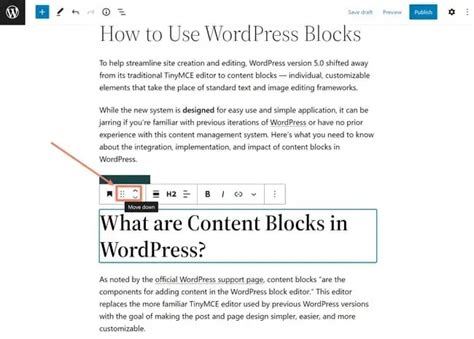 What Are WordPress Blocks? [+Tips on How to Use Them From WCEU Speakers]