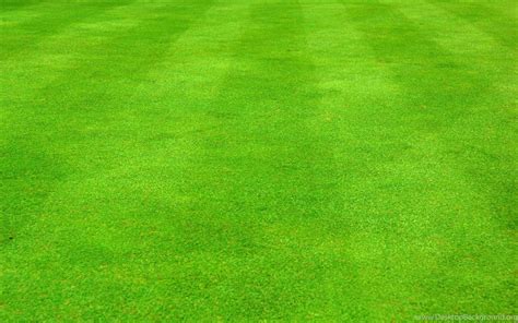 Football Grass Wallpapers Top Free Football Grass Backgrounds