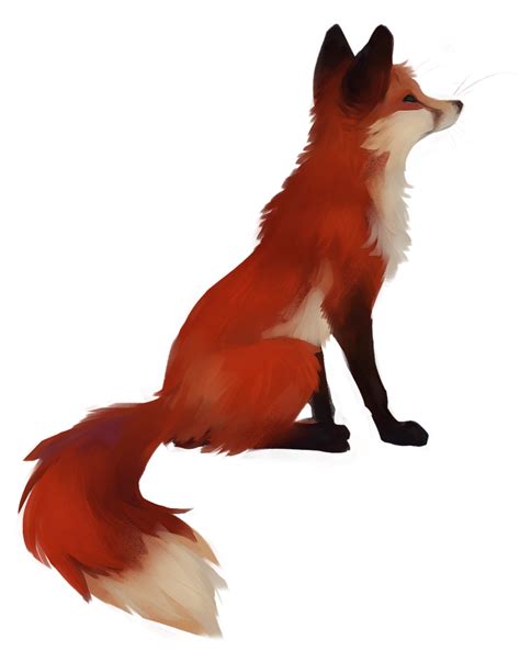 Red Fox Art Illustrations Stefan Urlaub