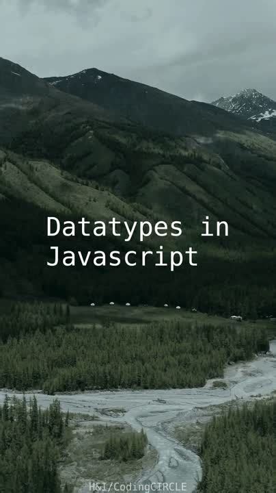 Video Coding Circle On Linkedin Datatype In Javascript