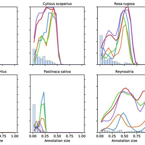 recall of the resnet50v2 models on the validation set as a function of