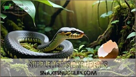 Corn Snake Natural Habitat And Care Expert Setup And Feeding Guide