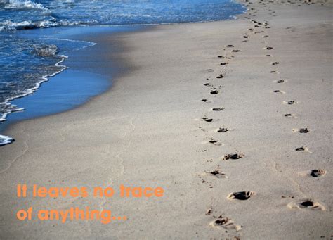 What Sense Does It Make Leaving Traces Behind Madhukar Enlighten Life